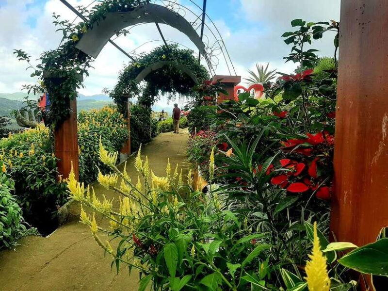 Cebu City: Cultural Heritage Tour & 10,000 Roses Visit - Serenity at the Taoist Temple