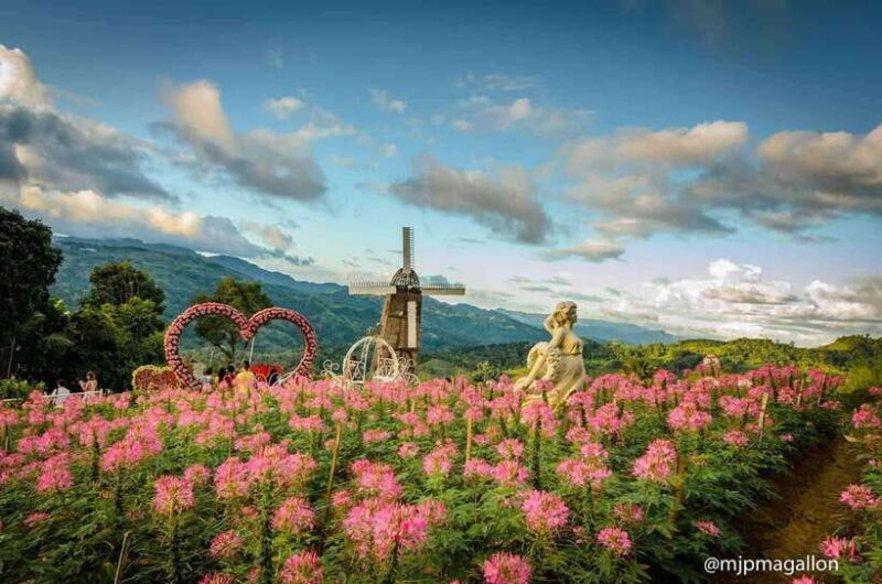 Cebu City: Historical, Local Cuisine & Mountain Guided Tour - What the Reviews Say