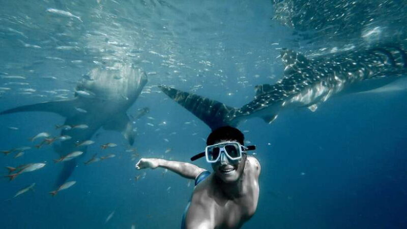 Cebu City: Whale Shark Swimming & Kawasan Falls Canyoneering - The Experience: Going Beyond the List