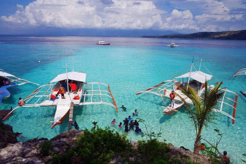 Cebu: Private Sumilon Island & Optional Whale Shark Swim - The Sum Up