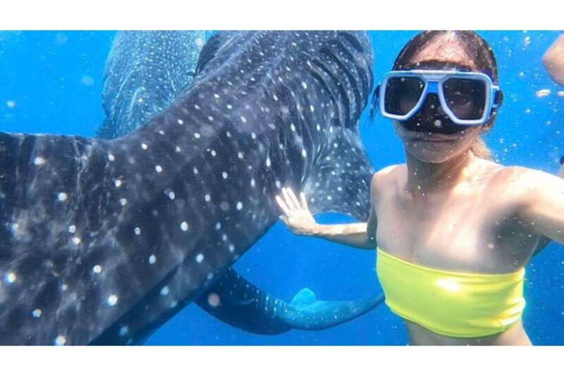 Cebu: Whale Shark Swim and Kawasan Canyoneering Group Tour - Final Thoughts