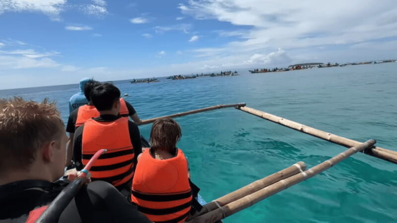 Cebu: Whale Shark Watching, Tumalog Falls & Sumilon Island - The Value of the Experience