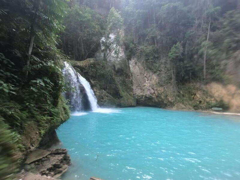 Cebu: Whale Sharks, Kawasan Falls, & Sardines Run Snorkeling - FAQs