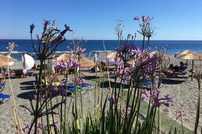 Chania Pink Beaches Private Tour: Elafonisi & Falassarna - FAQ