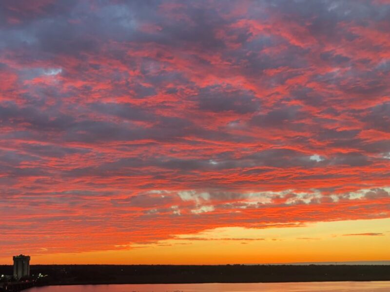 Charleston: Harbor Bar Pedal Boat Party Cruise - The Sum Up
