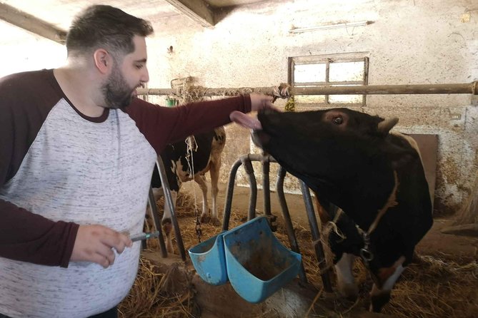 Cheese & ricotta making  Teramo (Abruzzo) Italy - Who Would Enjoy This Tour?