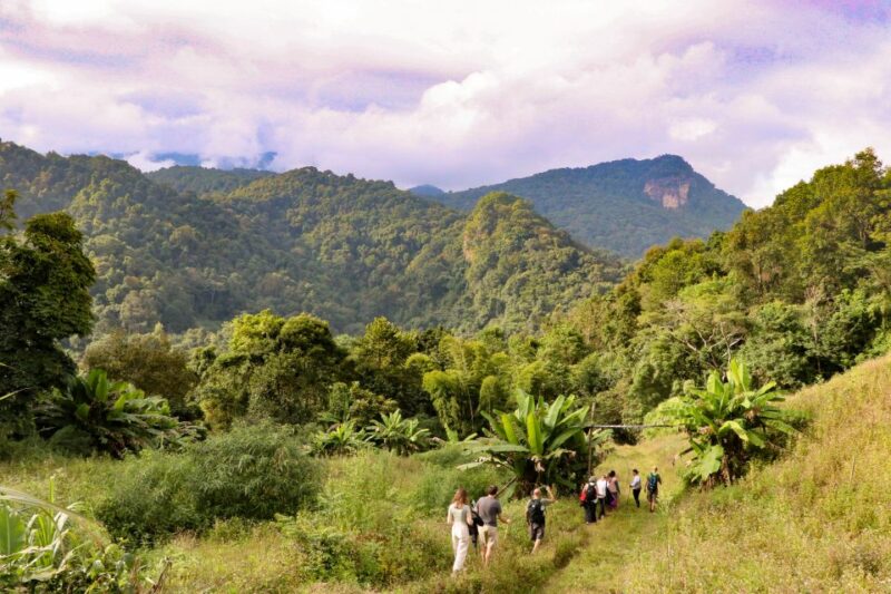 Chiang Mai: Doi Inthanon Highlights Small Group Tour - Authenticity and Personal Touch