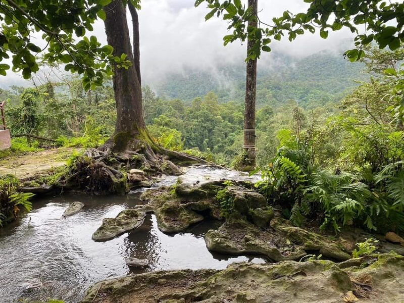 Chiang Mai Half Day Tour: Sticky Waterfall & Hotel Transfer - FAQ