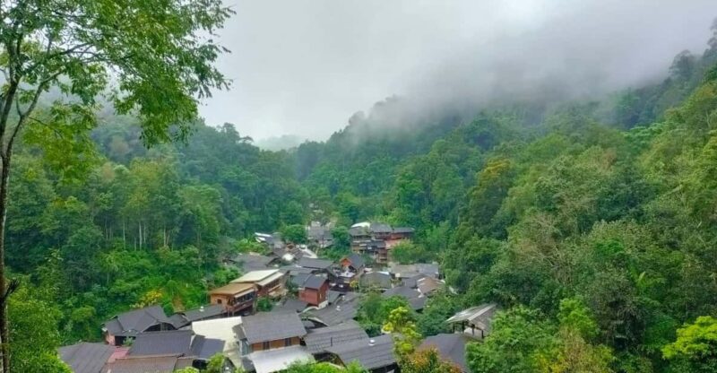 Chiang Mai: Mae Kampong Village, Hot Springs & Bor Sang Tour - Authentic Experiences and Genuine Insights