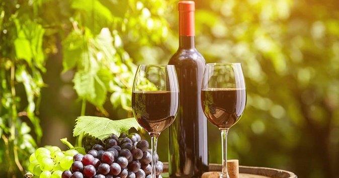 Chianti and Supertuscan Private tour with lunch from Livorno - Final Thoughts