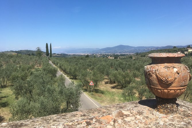 Chianti e-bike tour from Florence with wine tasting - Who Would Love This Tour?