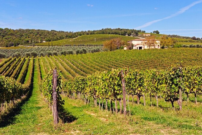 Chianti, SuperTuscan & San Gimignano - 2 wineries and light lunch - Value and Practical Considerations