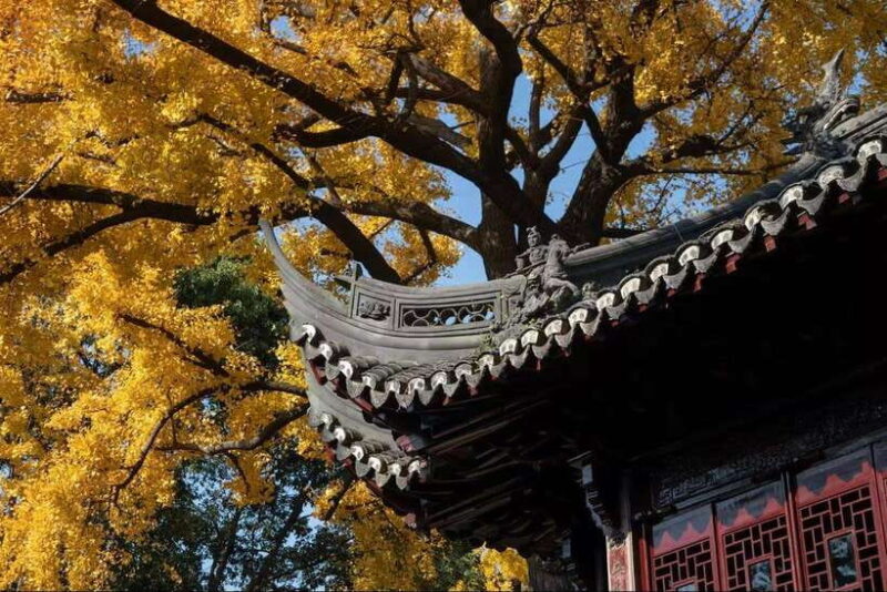 China Hollywood and Yiwu-the offline Temu commercial heaven - The detailed itinerary: what to expect
