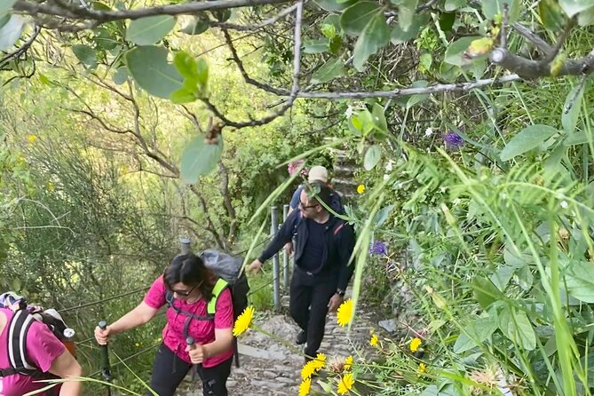 Cinque Terre unforgettable hiking experience - The Sum Up