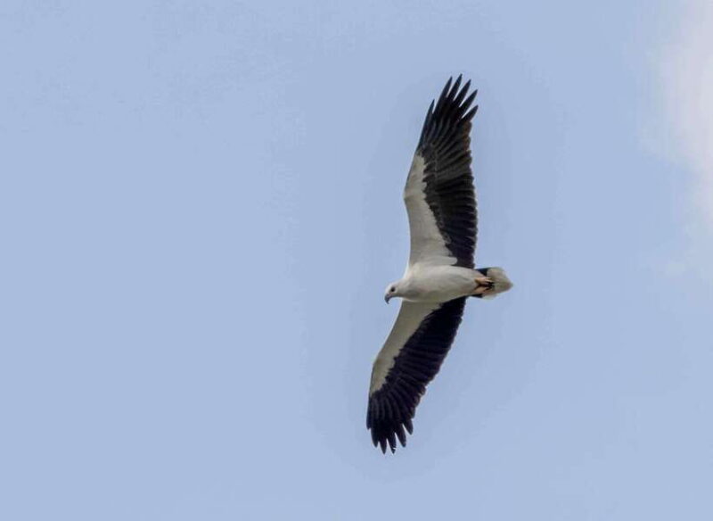 Colombo: Bird watching around Colombo-Guided Tour - 06 hours - The Itinerary Breakdown