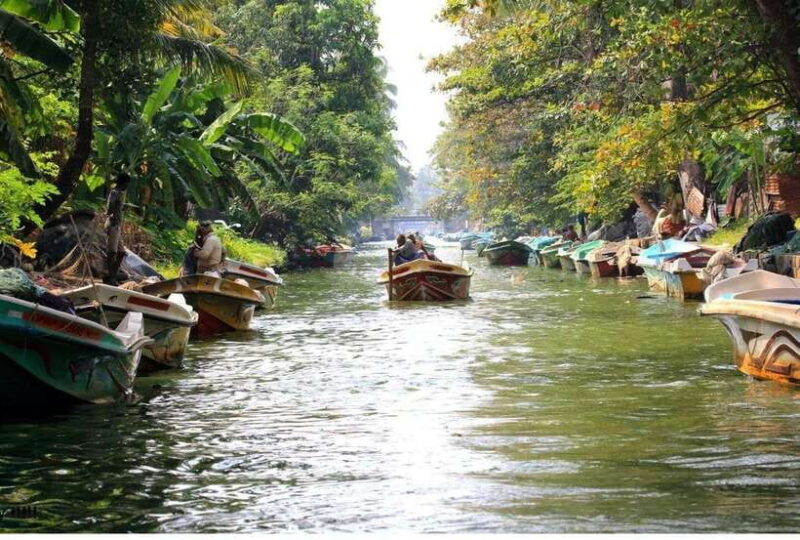 Colombo/Negombo: Muthurajawela & Dutch Canal Boat Adventure - The Sum Up
