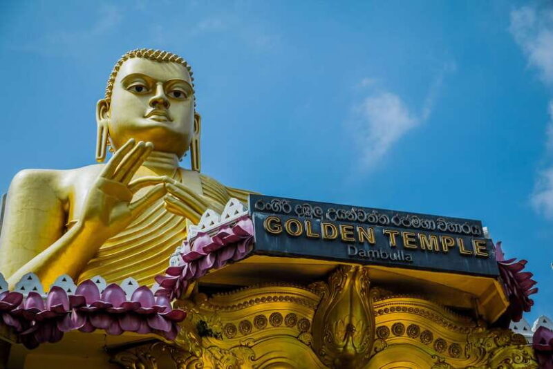 Colombo/Negombo: Sigiriya, Dambulla, and Minneriya Safari - Real Traveler Insights