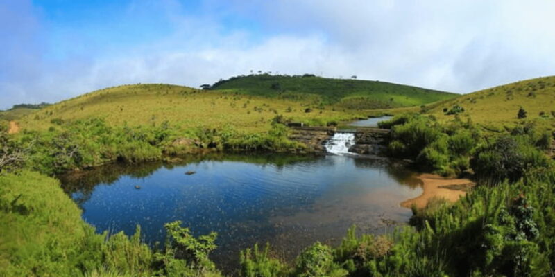 Comprehensive Excursion: Horton Plains and Pedro Tea Factory - Final Thoughts
