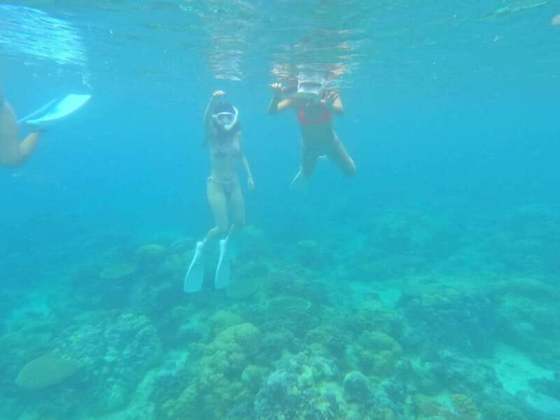 Coron: Dugong Watching with Sea Turtle and Coral Garden tour - Transportation and Group Size