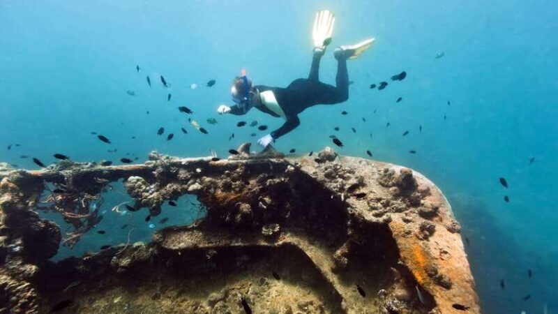 Coron Reef and Wrecks Tour (Private Tour) - How It Feels to Experience This Tour