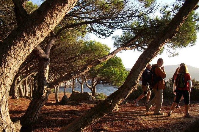 Costa Brava Small Group Hiking Tour from Barcelona - The Sum Up