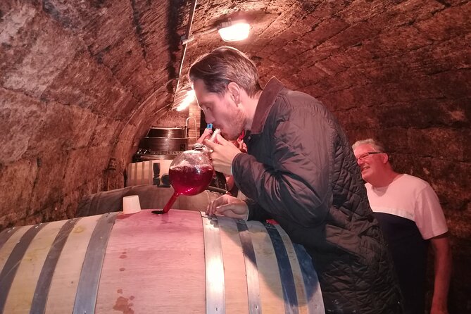 Countryside Half-day Wine Tour near Budapest with Meal and Pickup - Who Should Book This Tour?