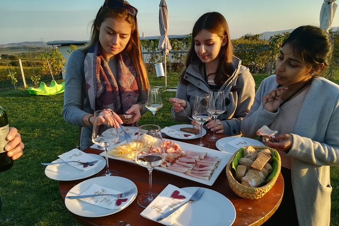 Countryside Half Day Wine Tour near Vienna - Who Should Consider This Tour?