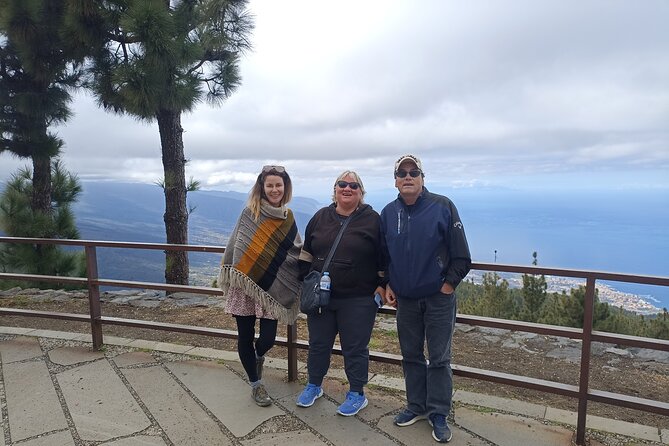 Custom Private Tenerife Volcano Car Tour - Who Should Book This Tour?