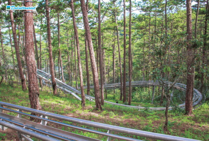 Da Lat: Datanla New Alpine Coaster Experience Entry Ticket - The Highlights of the Alpine Coaster Ride