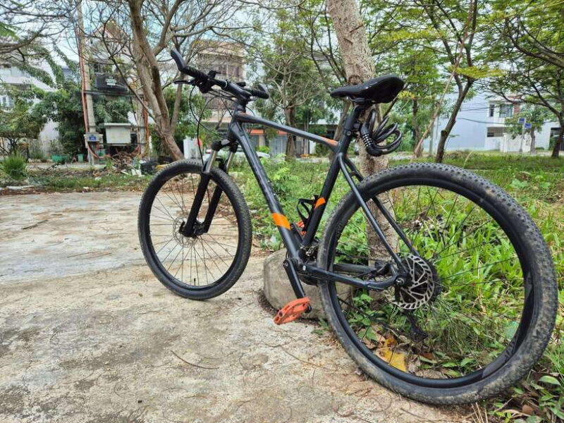 Da Nang City Sightseeing Cycling Private Tour By Bike - Who Should Consider This Tour?