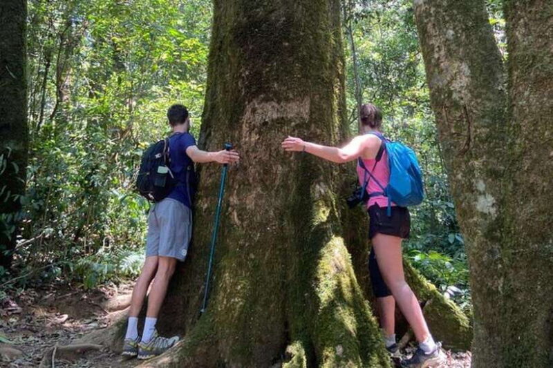 DaLat: Trek on Langbiang Mountain - The Sum Up