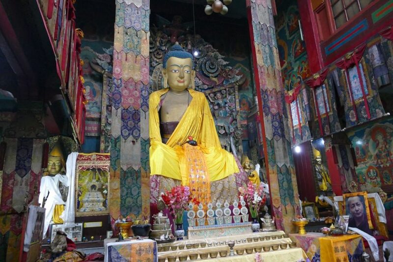 Darjeeling: Private Tiger Hill Sunrise Trip - Who Should Consider This Tour?