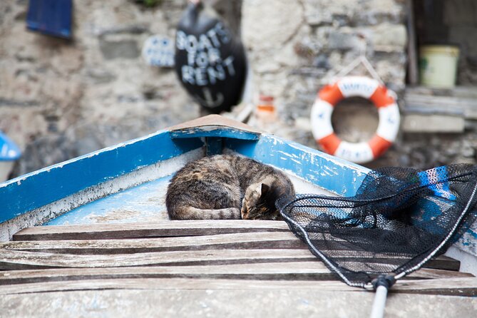Day Trip Cinque Terre from Milan - Final Thoughts