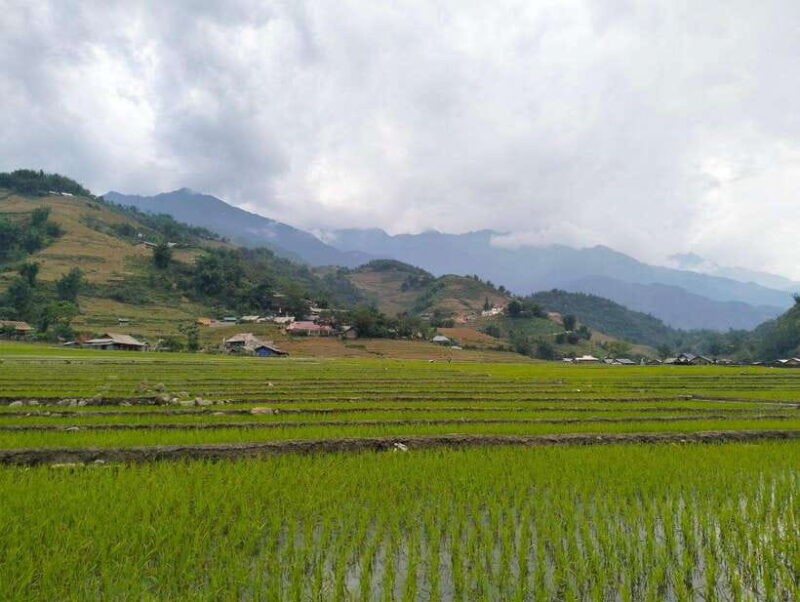 Day Trip Visit Y Linh Ho,Lao Chai Ta Van - Cat Cat Village - The Practicalities: Transport, Guides, and Group Size