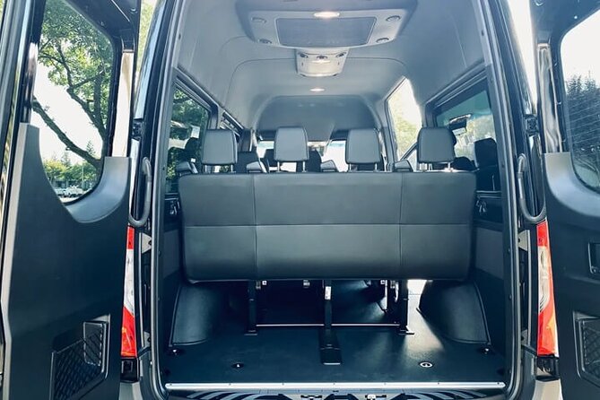 Departure Private Transfer from Bergen City to Bergen Airport BGO by Minibus - Who Is This Transfer Best Suited For?