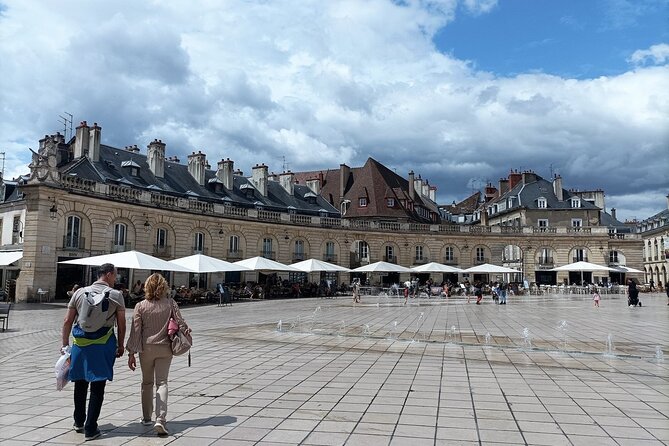 Dijon private guided tour with a professional tour guide ! - Practical Details: What to Expect