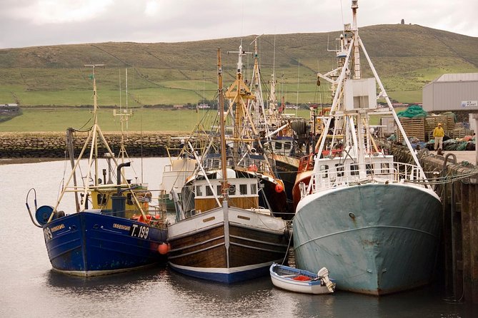 Dingle Peninsula Day Tour from Killarney: Including The Wild Altanic Way - Analyzing the Value