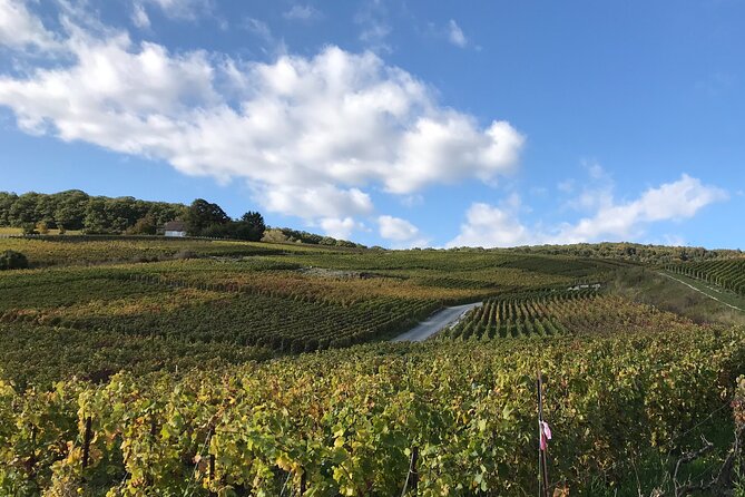 Discover Champagne in half a day in a Van - Final Thoughts