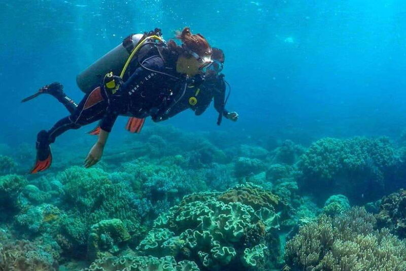 Discover Scuba: PADI Intro Dive in Dauin - The Value Proposition