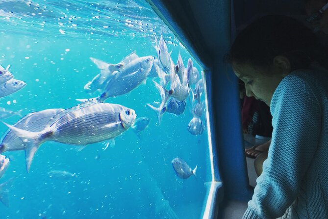Discover secrets of the sea swimming cave and underwater vision - The Guide and Service