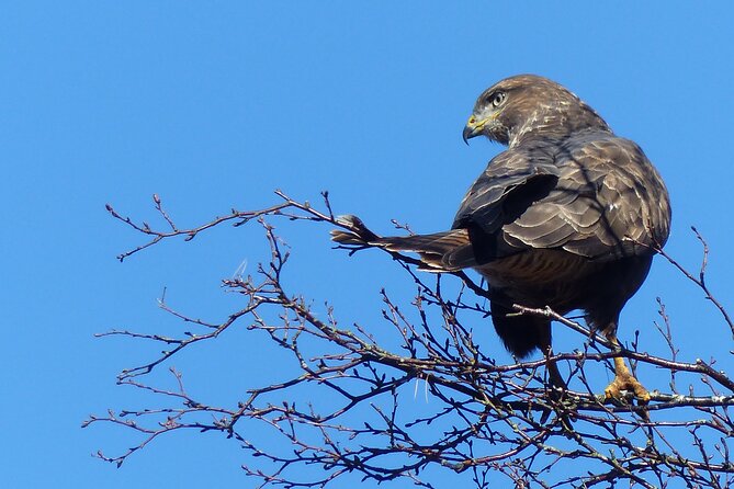 Discovery Wildlife Safari - The Itinerary in Detail