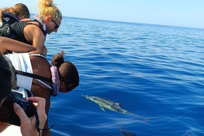 Dolphin Watching + 2 Islands Tour - From Faro - The Sum Up