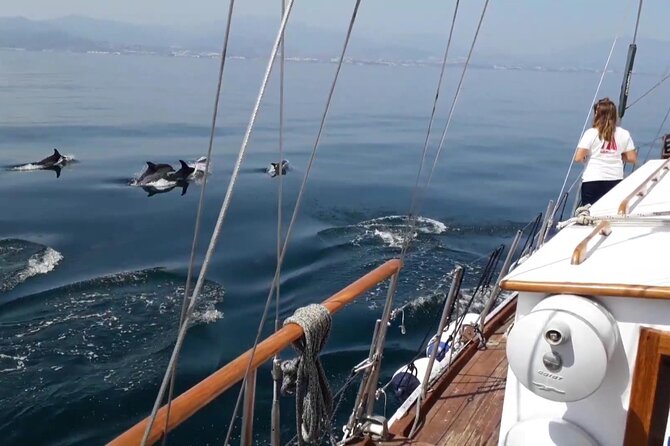 Dolphin Watching Adventure in Estepona Bay - Who Should Consider This Tour?