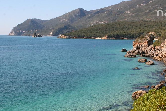 Dolphin Watching in the Wild - Half Day - Frequently Asked Questions
