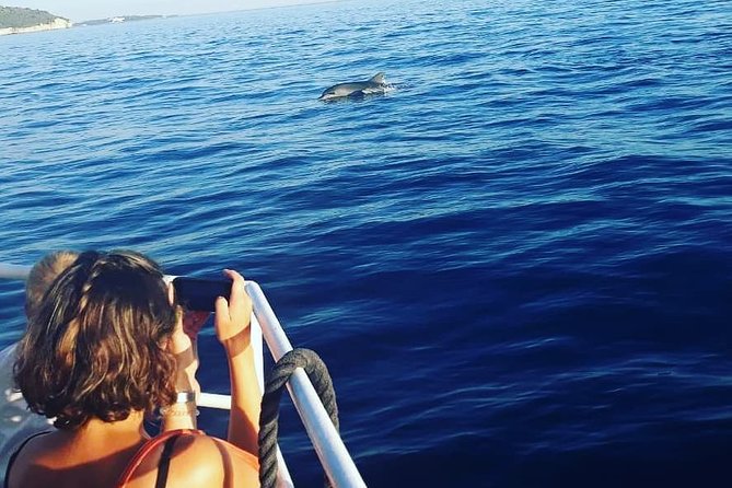 Dolphin Watching & Sunset Boat Tour With Dinner and Drinks - FAQs
