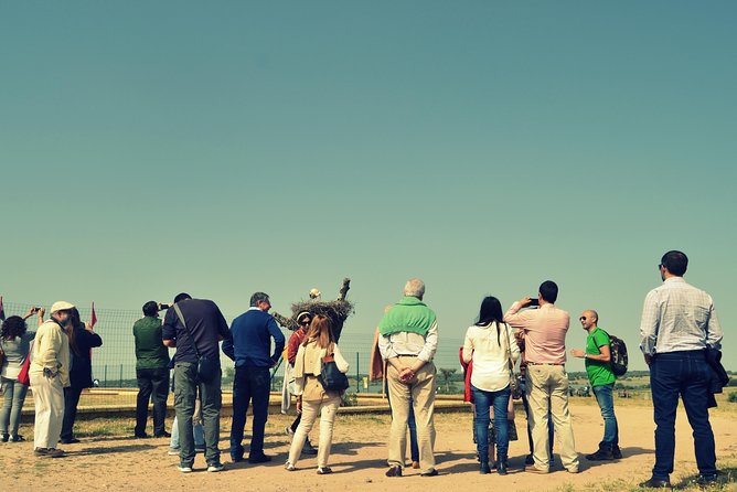 Doñana Natural Park Full-Day Tour from Seville - Who Will Appreciate This Tour?