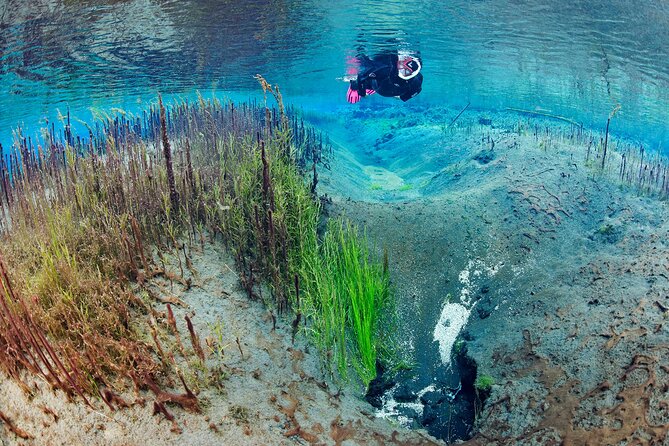 Double Snorkeling Adventure near Húsavík in North Iceland - Practical Details for Participants