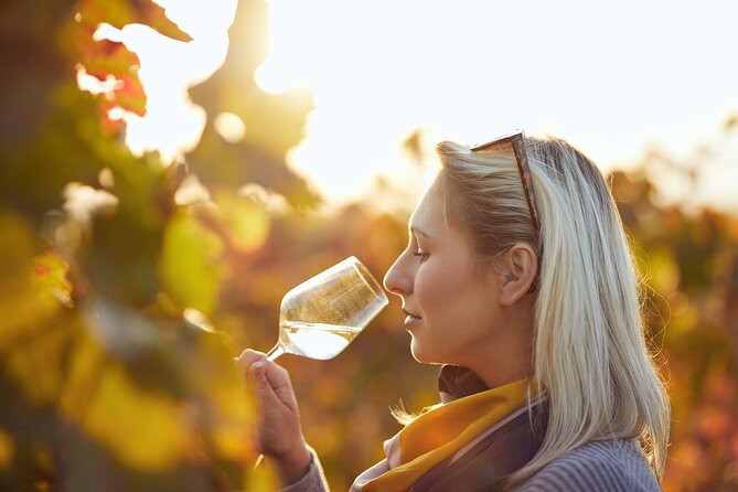 Douro Valley: Historical Sites, Wine Experience, Lunch & Cruise - FAQ