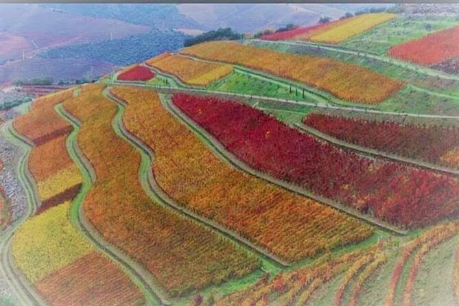 Douro Valley Premium with wine tasting lunch and boat - Who Should Consider This Tour?