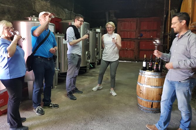 Douro Valley Tour: 2 Vineyard Visits, River Cruise, Winery Lunch - Who Would Enjoy This Tour?